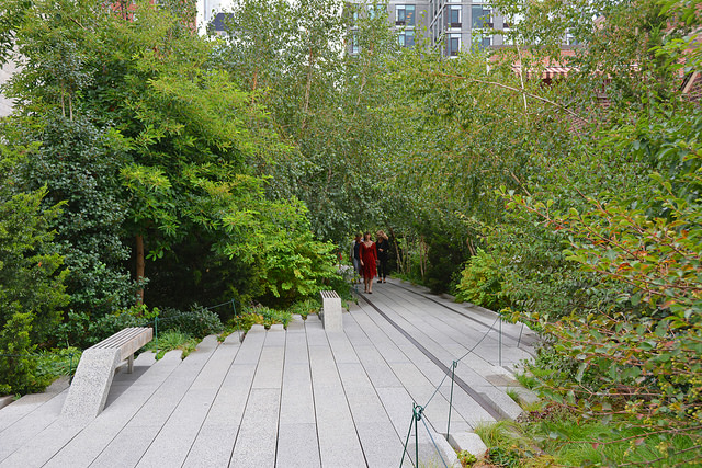 How did Miami's proposed 'Underline' reach its tipping point so quickly ...