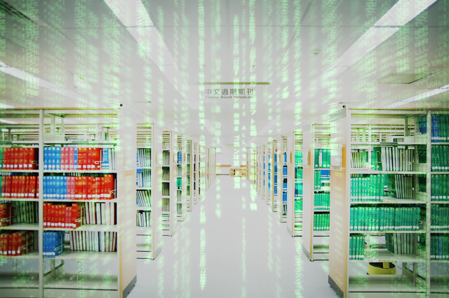 Meeting the information needs of communities at the public library ...