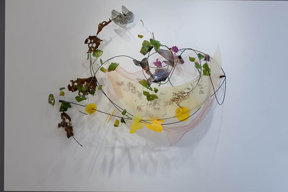 Delicate art of our fragile oceans - Knight Foundation